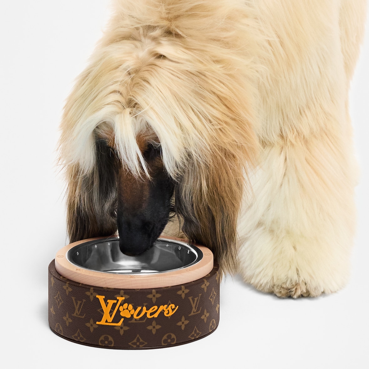 Dog Bowl - Pets Accessories | LOUIS VUITTON