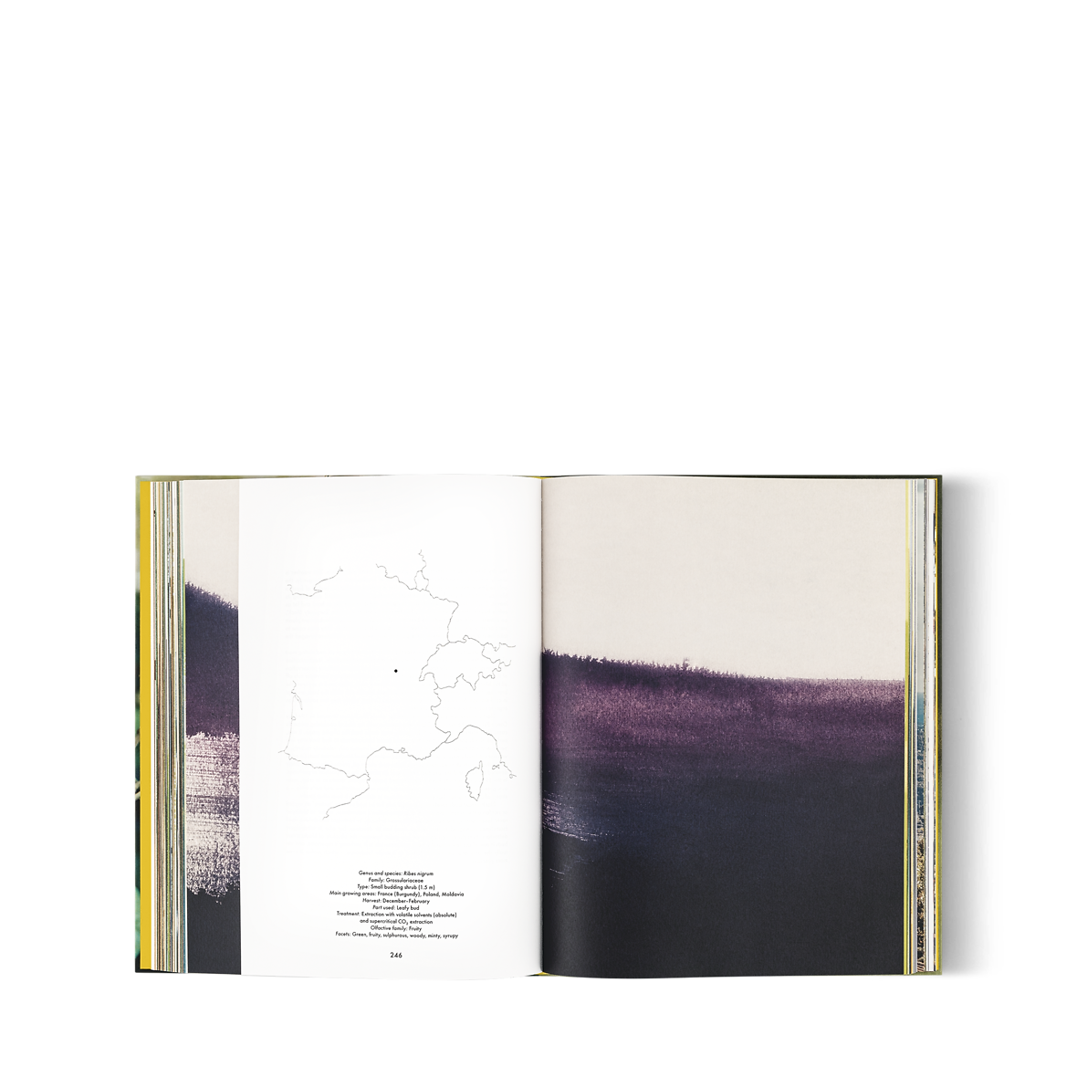 Louis Vuitton: A Perfume Atlas, English Version - Books and Stationery ...