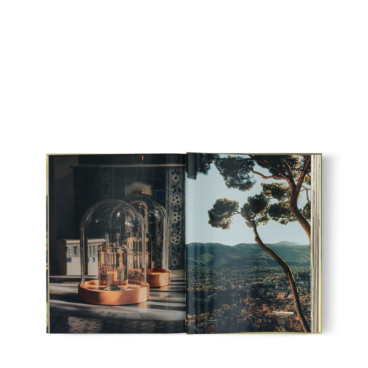 Louis Vuitton: A Perfume Atlas, French Version - Books and Stationery ...