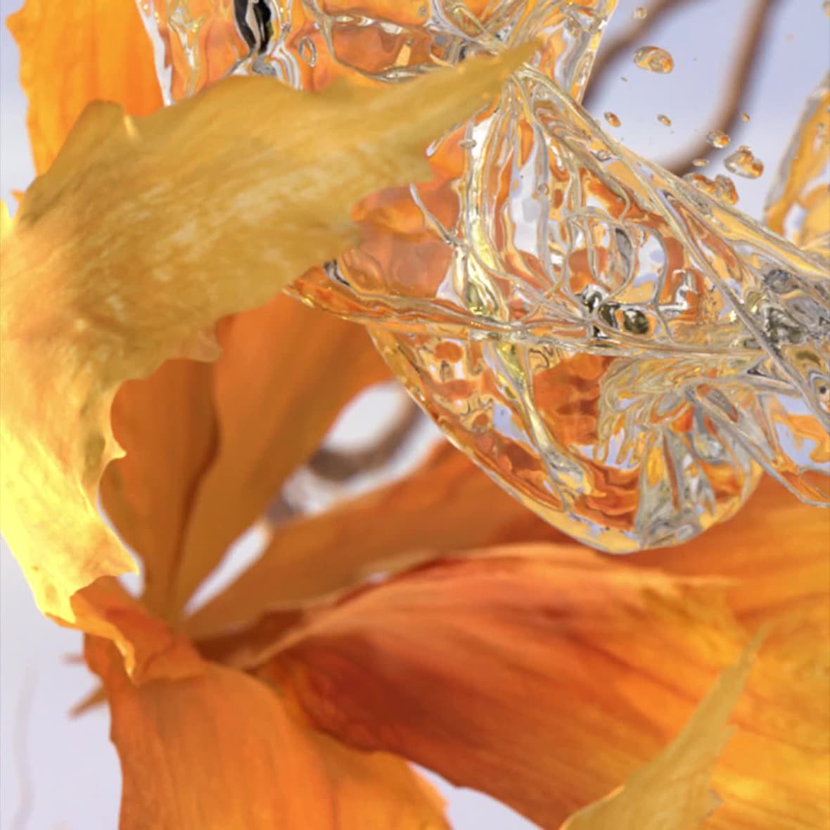 Rhapsody - Exceptional Creations | LOUIS VUITTON